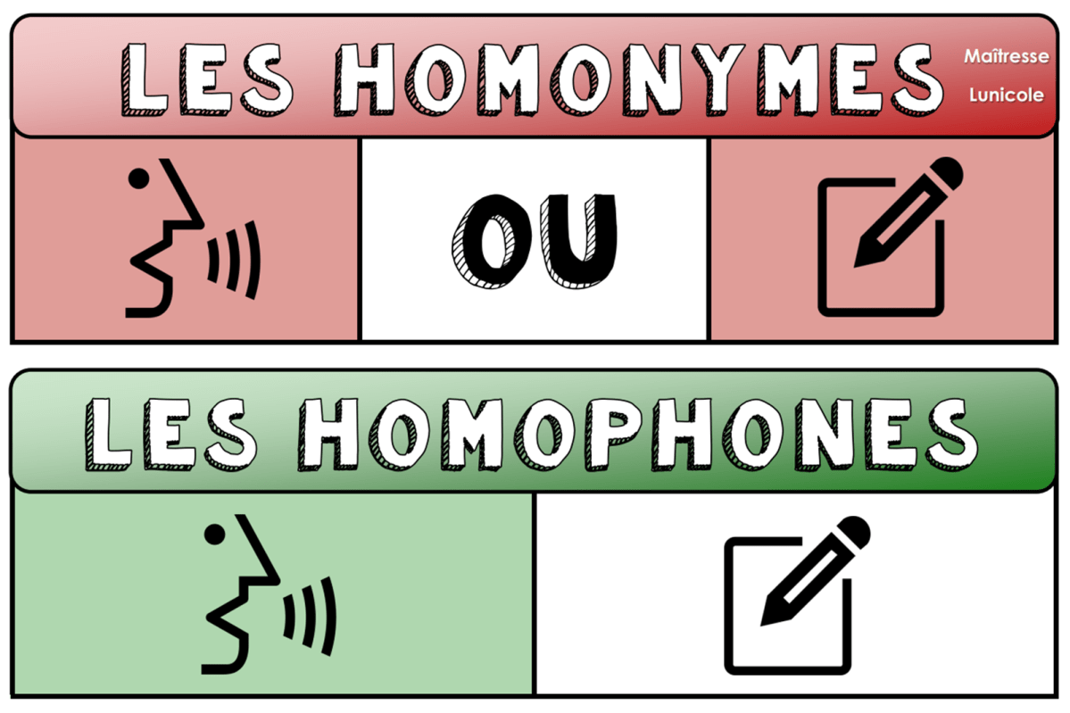 Les homonymes : homophones et homographes – CM1-CM2 – Maîtresse Lunicole