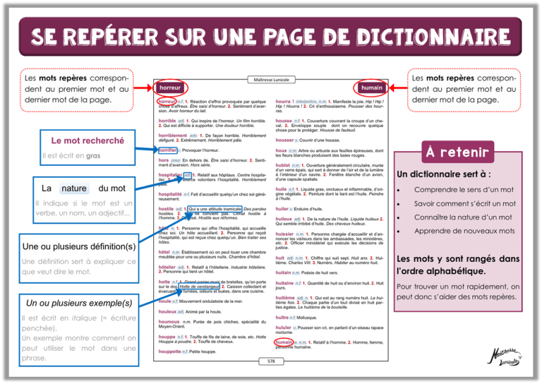 Comprendre l’organisation du dictionnaire – Maîtresse Lunicole