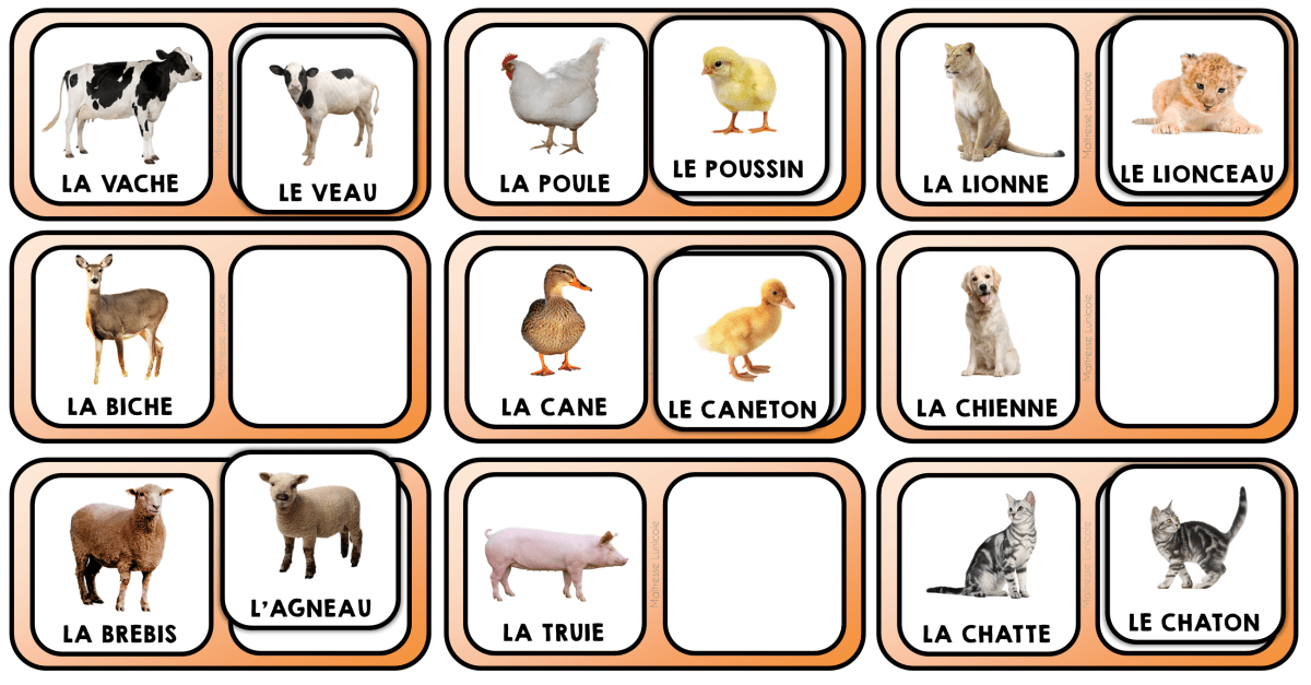Les animaux : associer la maman et le bébé – cycle 1 – Maîtresse Lunicole