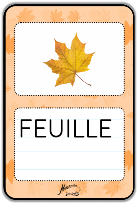L’automne (nouveautés 2025 !) – Maîtresse Lunicole