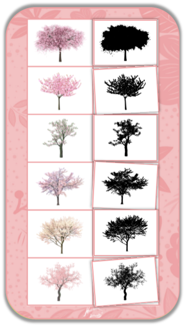 Le printemps – cycle 1 – Maîtresse Lunicole