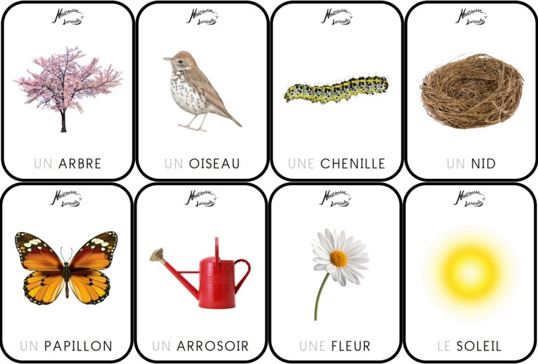 Le printemps – cycle 1 – Maîtresse Lunicole