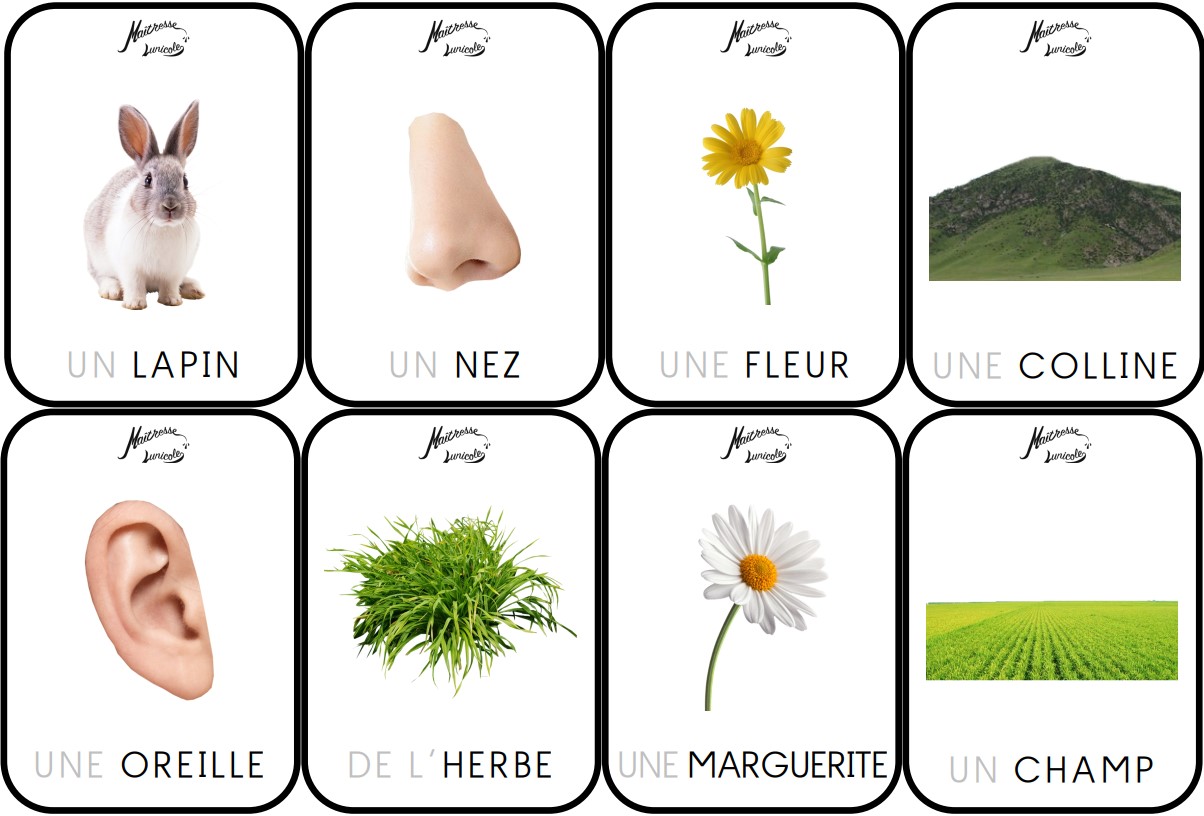 Exploitation d’album – Le lapin de printemps – Maîtresse Lunicole