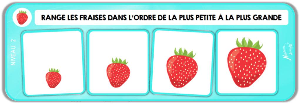 Ranger par ordre de taille – Maîtresse Lunicole