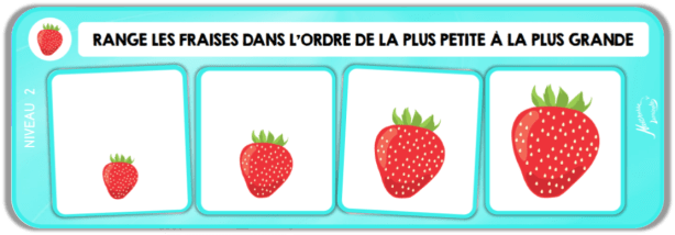 Ranger par ordre de taille – Maîtresse Lunicole