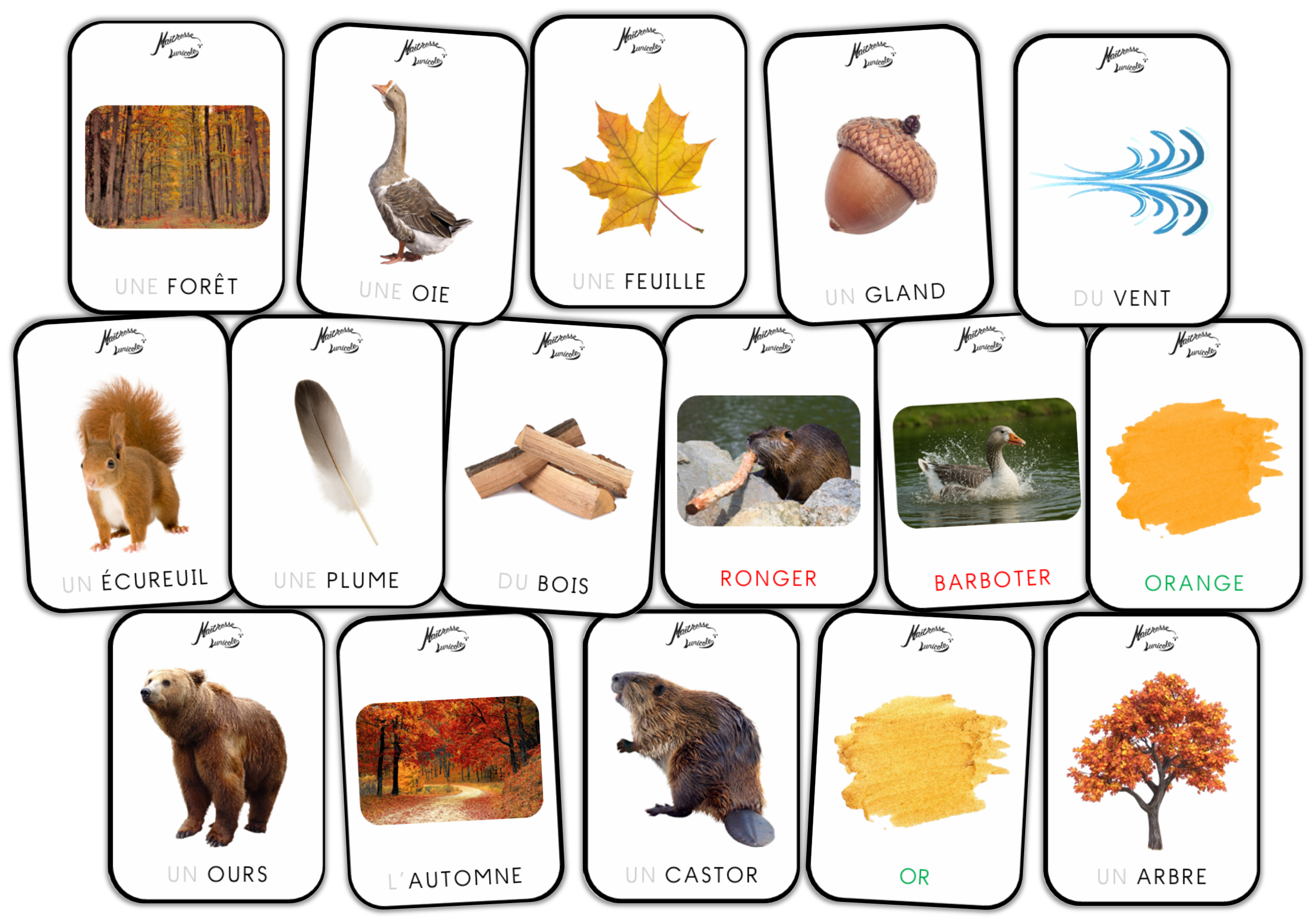 Exploitation d’album – C’est l’automne, petite oie ! – Maîtresse Lunicole